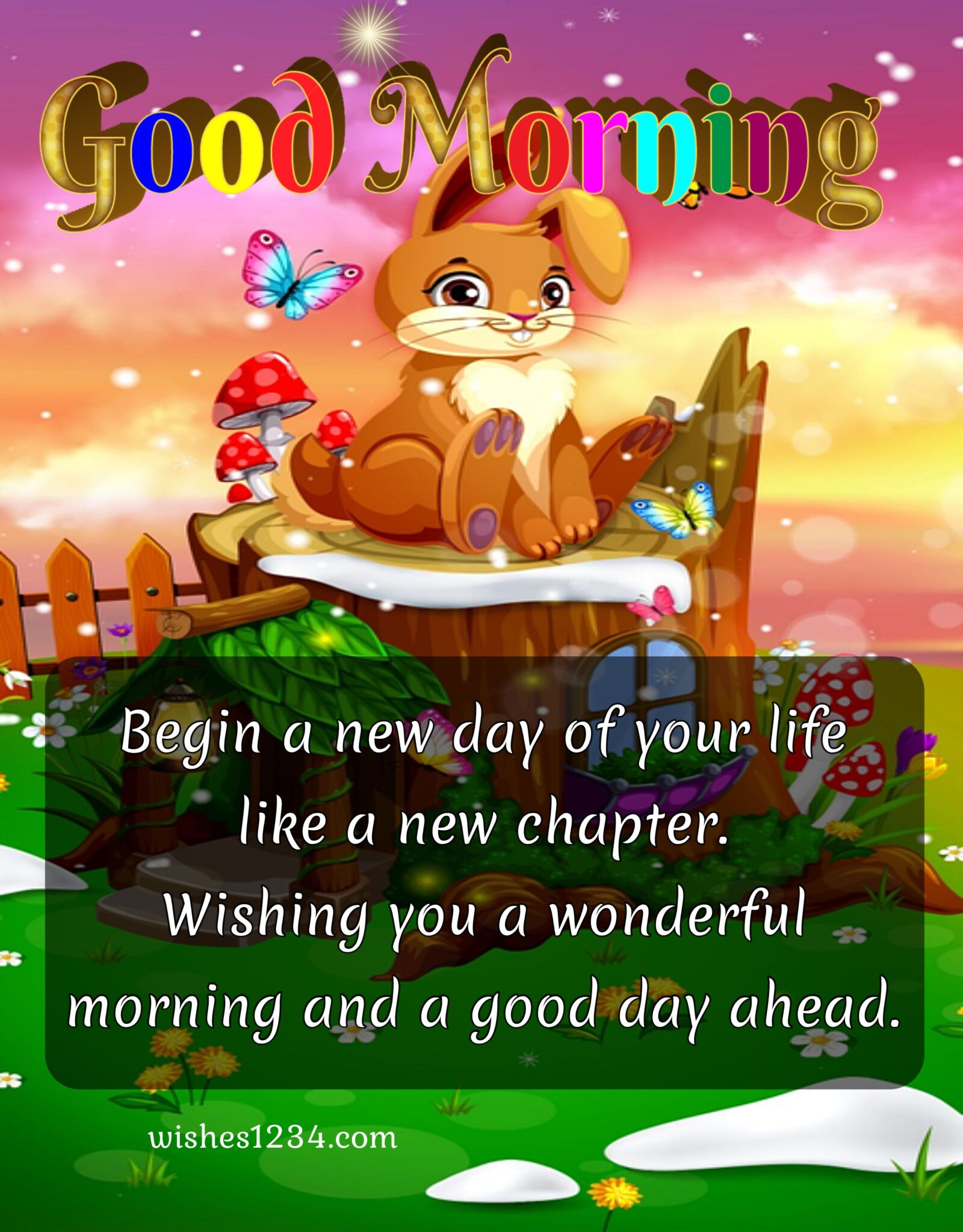 100+ Good morning Quotes and Images