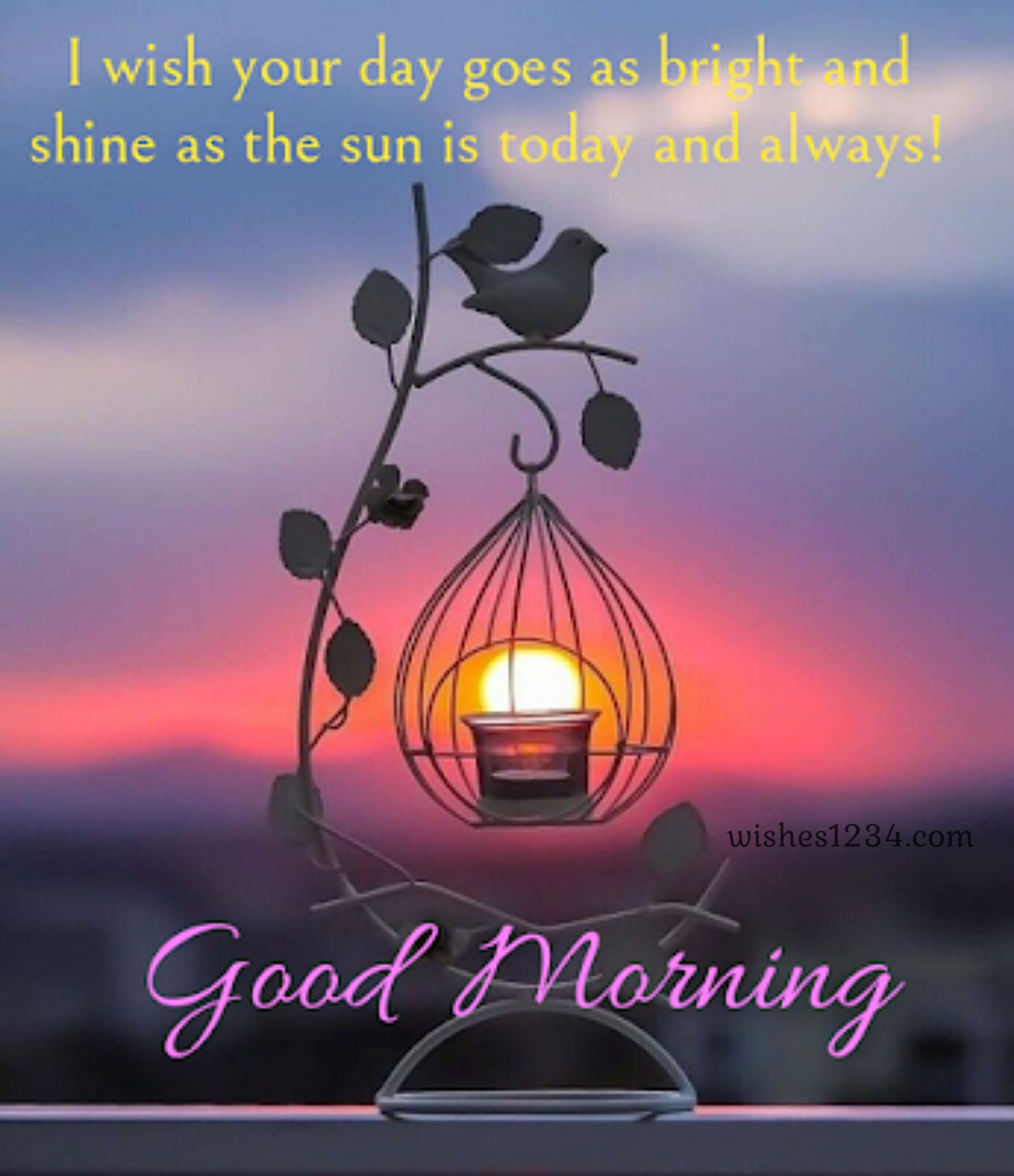 100+ Good morning best Quotes and Images