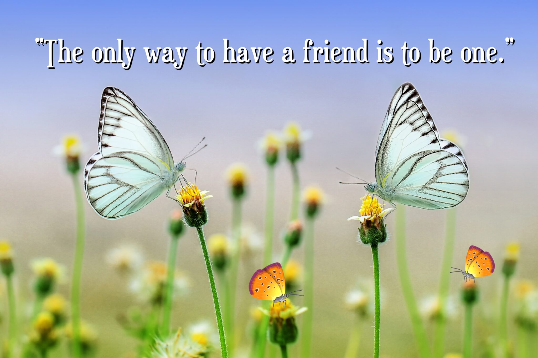Life and Friendship - wishes1234