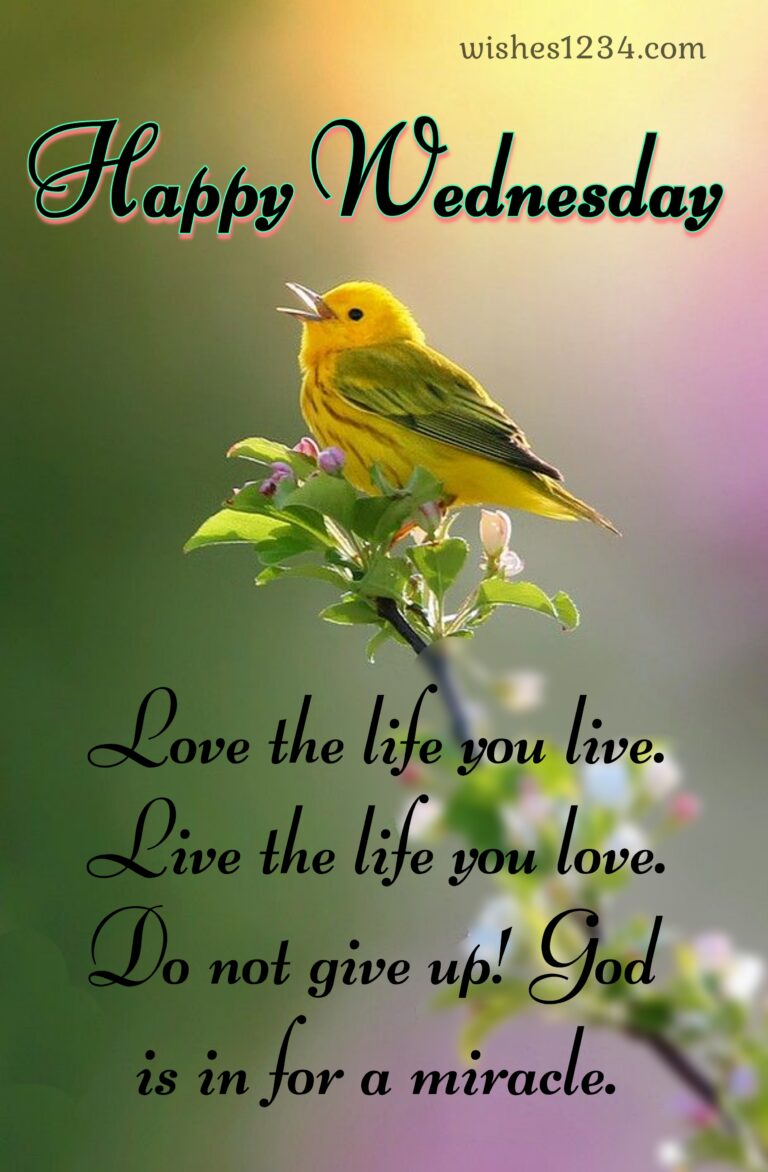 100+ Happy Wednesday quotes, wishes and messages