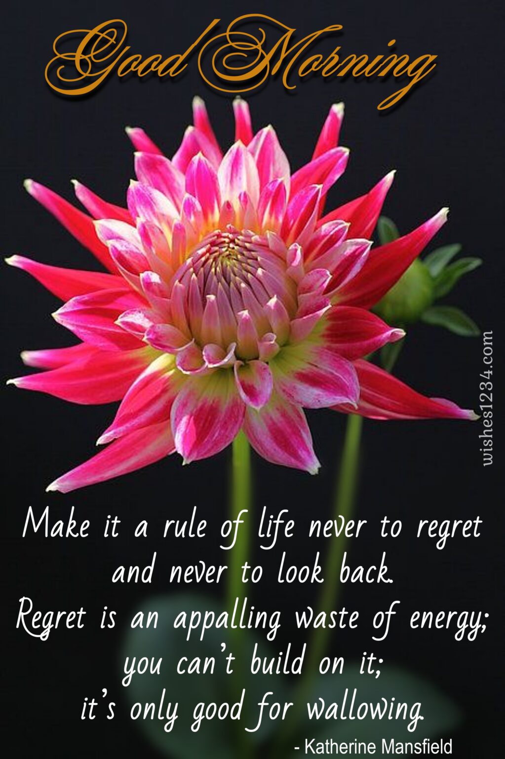 100+ Happy Wednesday quotes, wishes and messages