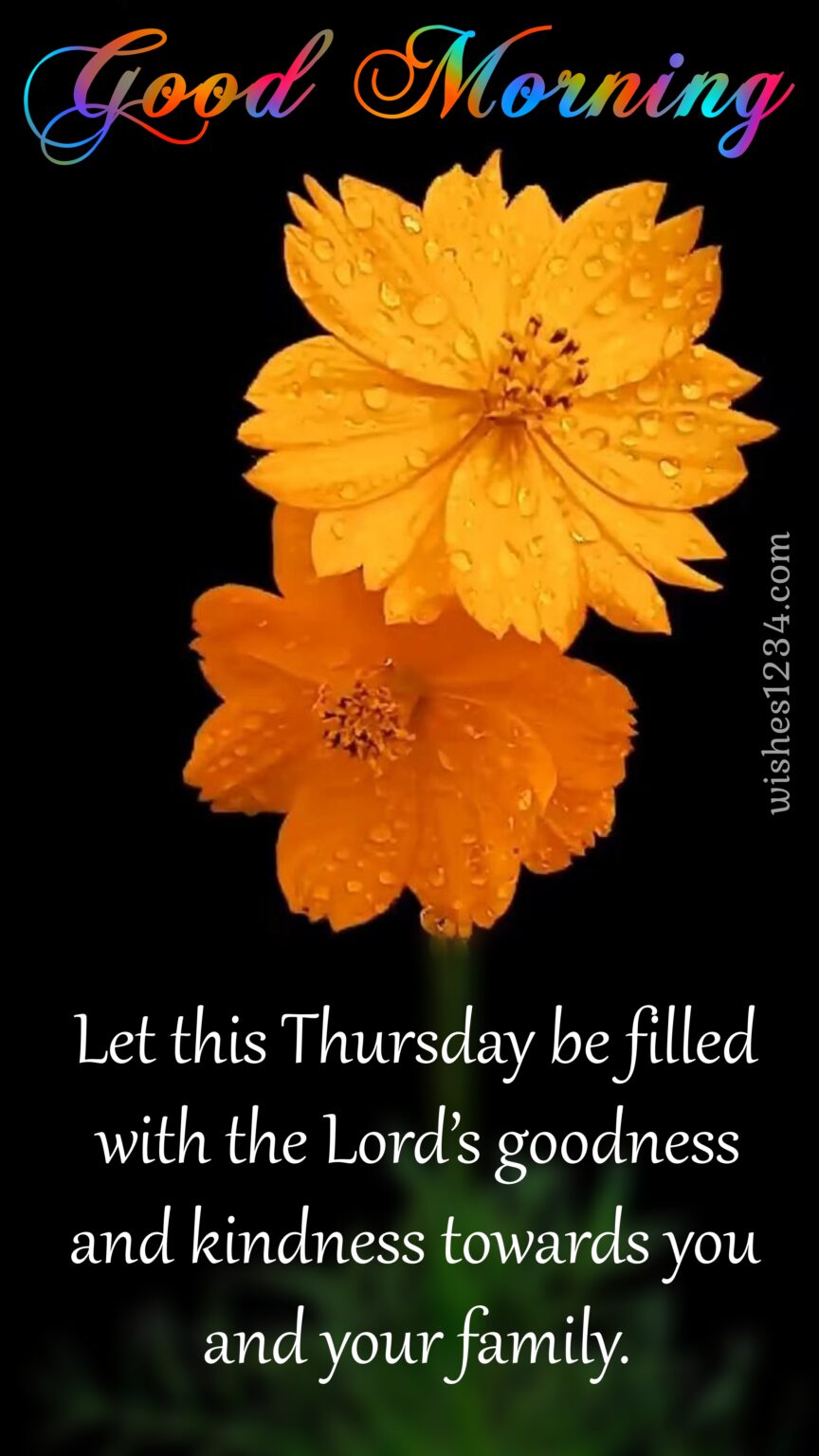 Happy Thursday | Thursday Quotes - wishes1234