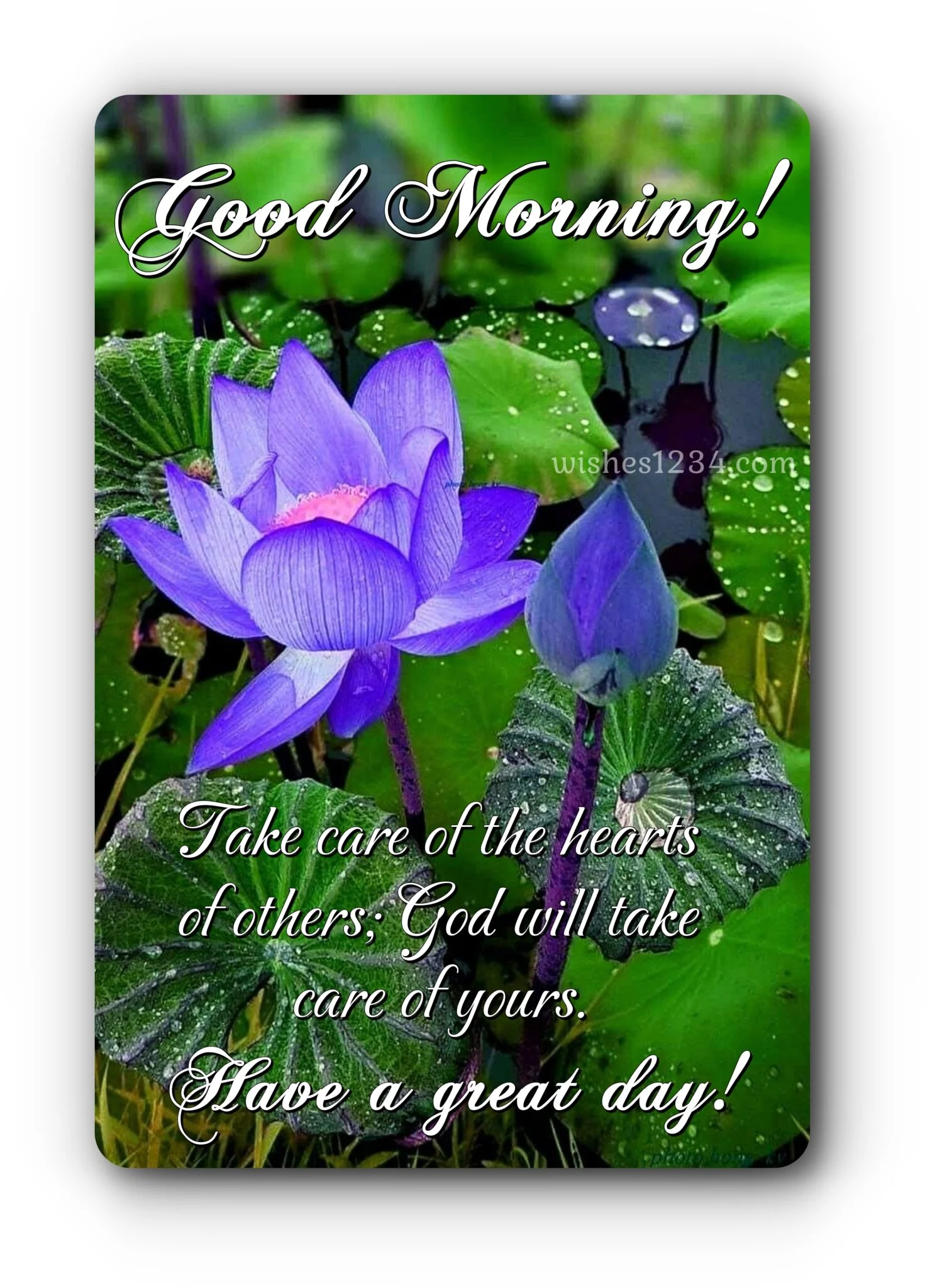 Happy Tuesday blessings and quotes