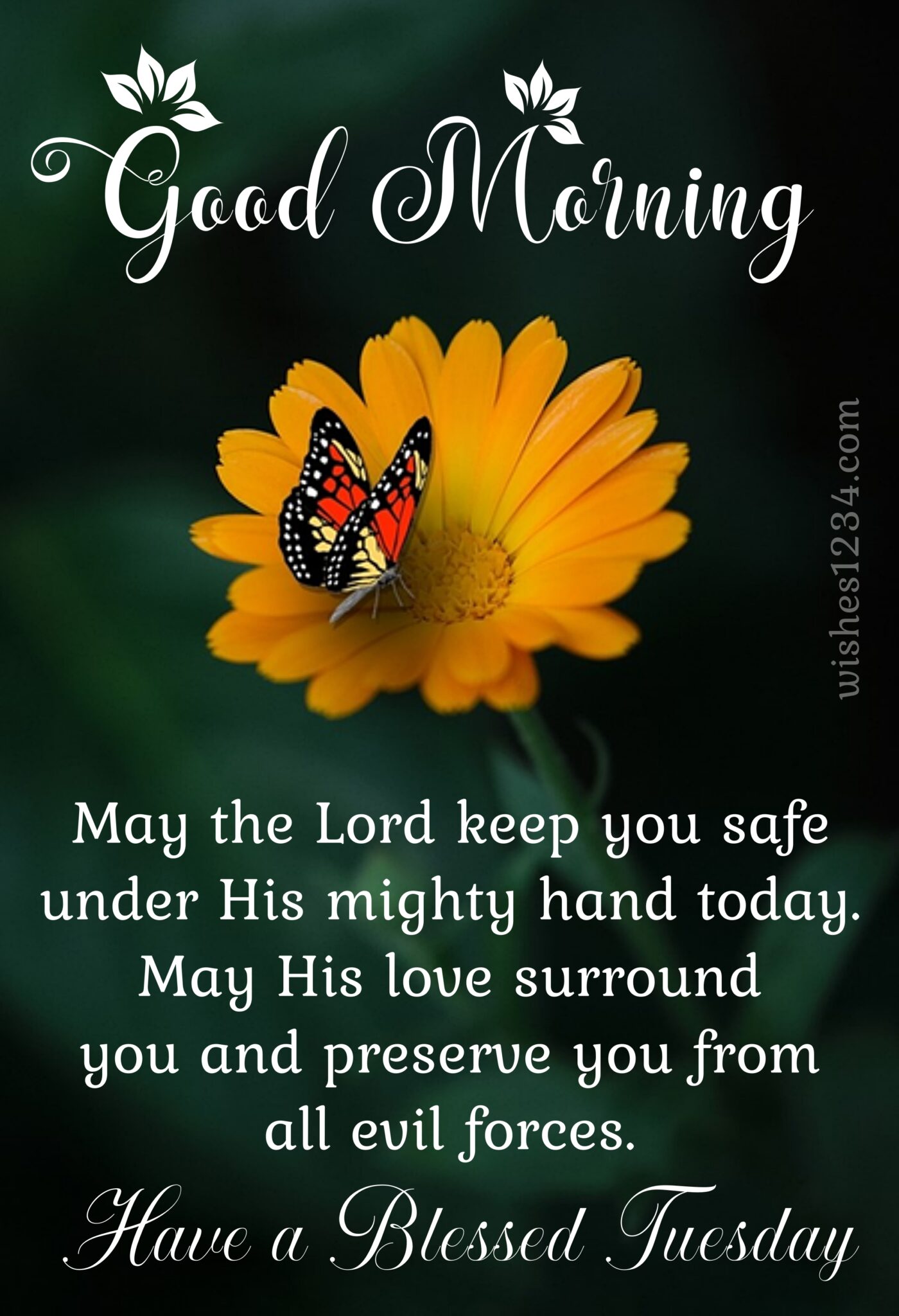 150+ Tuesday Quotes, Blessings and Images To Unlock Your Motivation