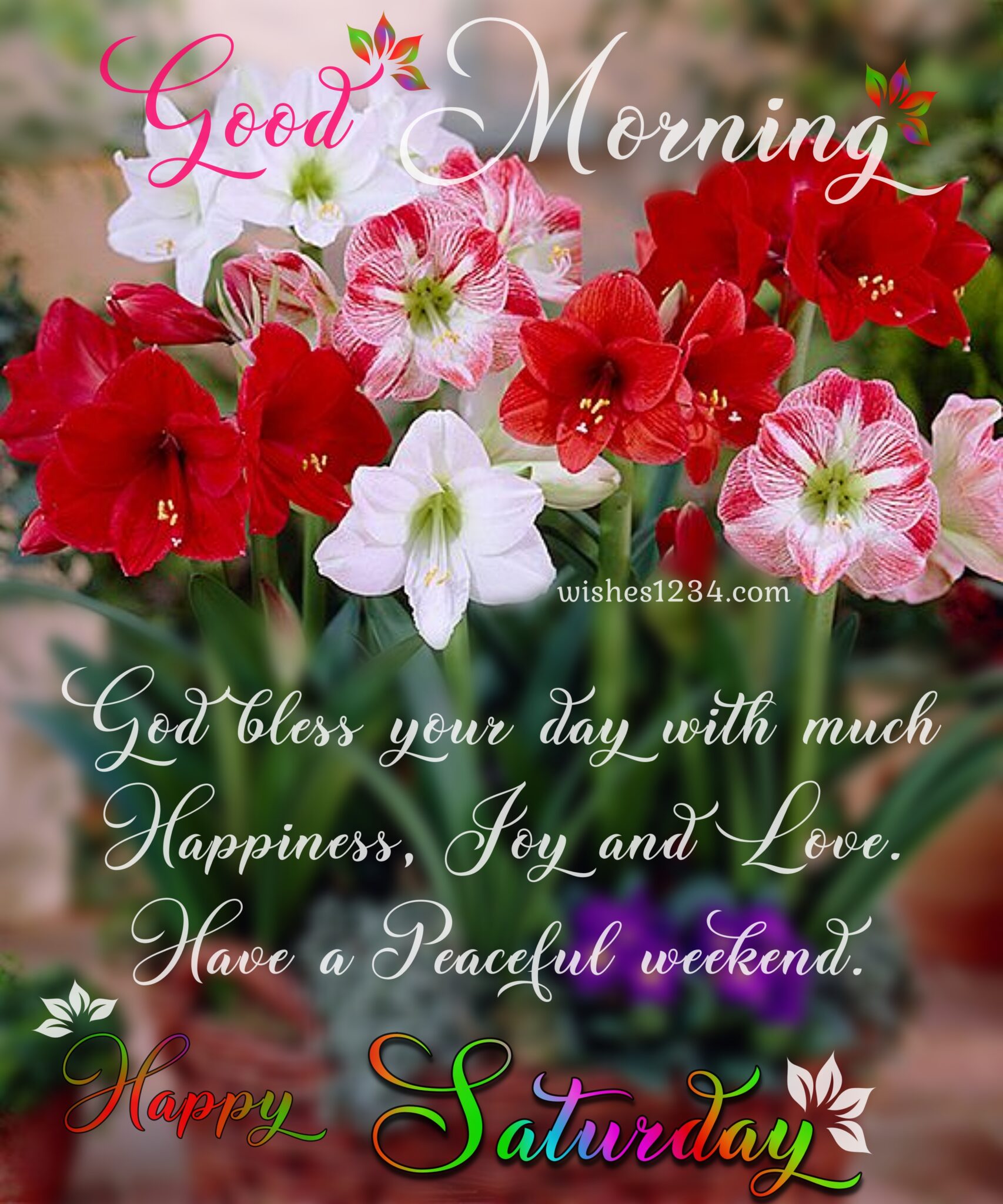 100+ Saturday quotes, images & Saturday blessings