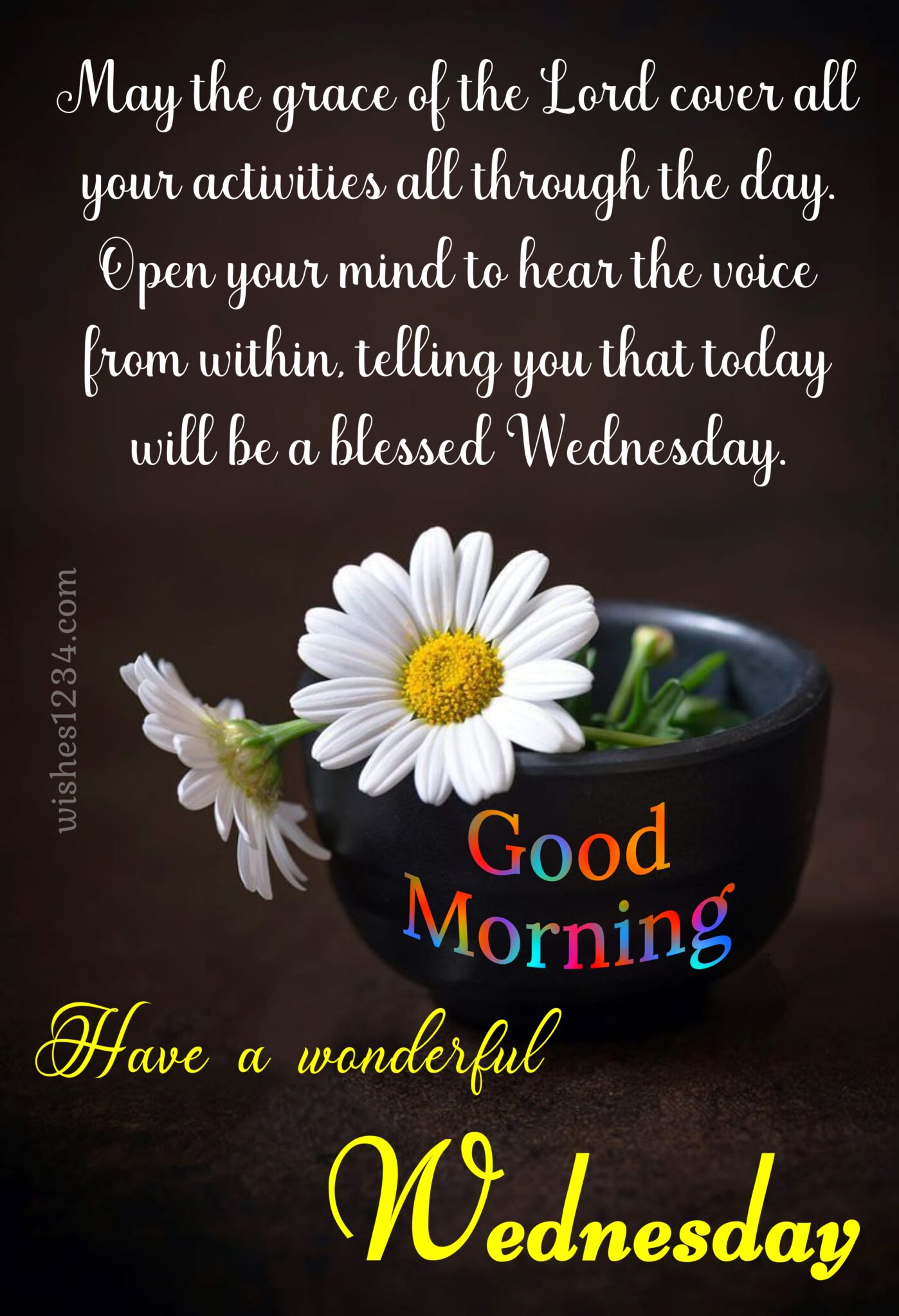 100+ Wednesday quotes, wishes, blessings, messages and happy hump day