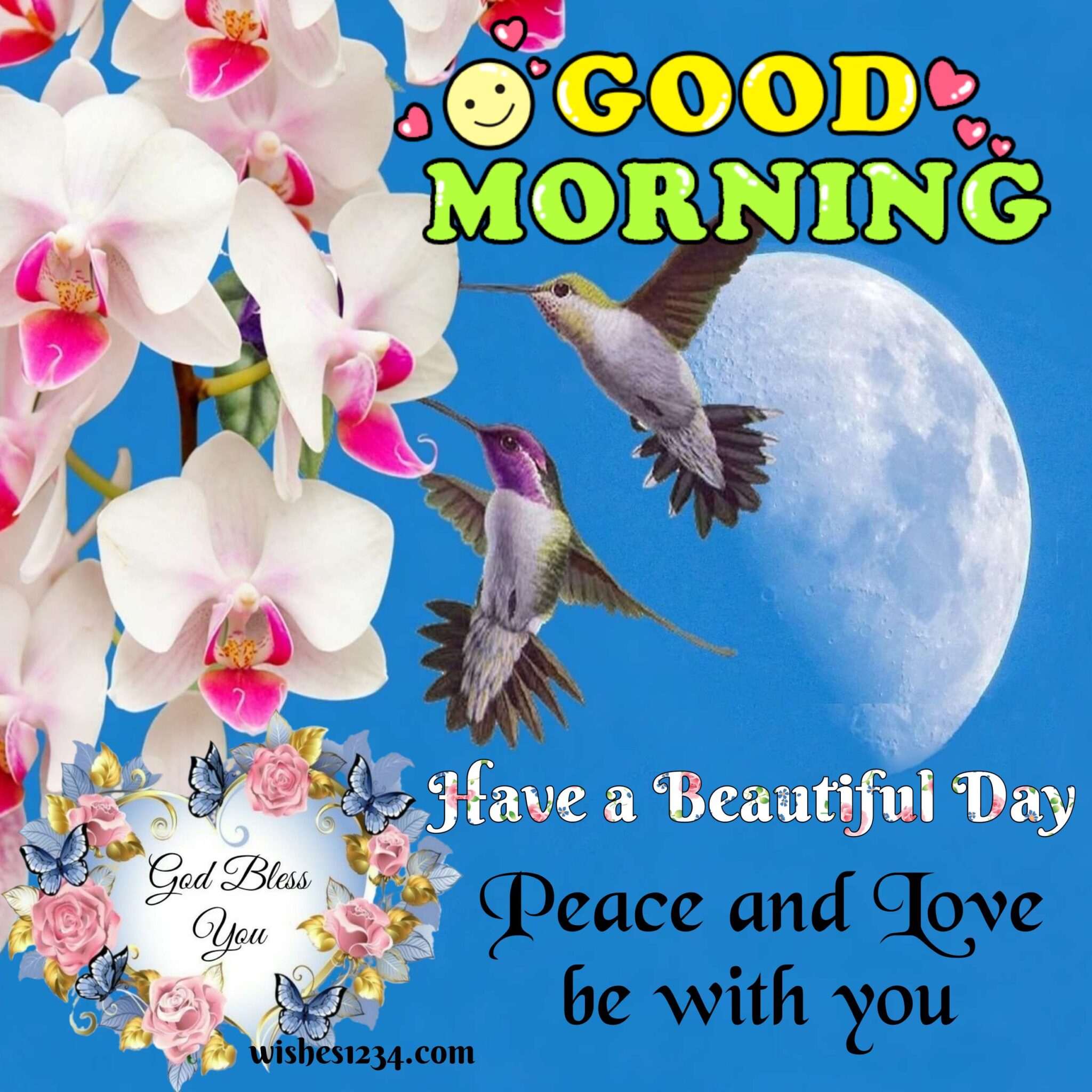 100+ Wednesday quotes, wishes, blessings, messages and happy hump day