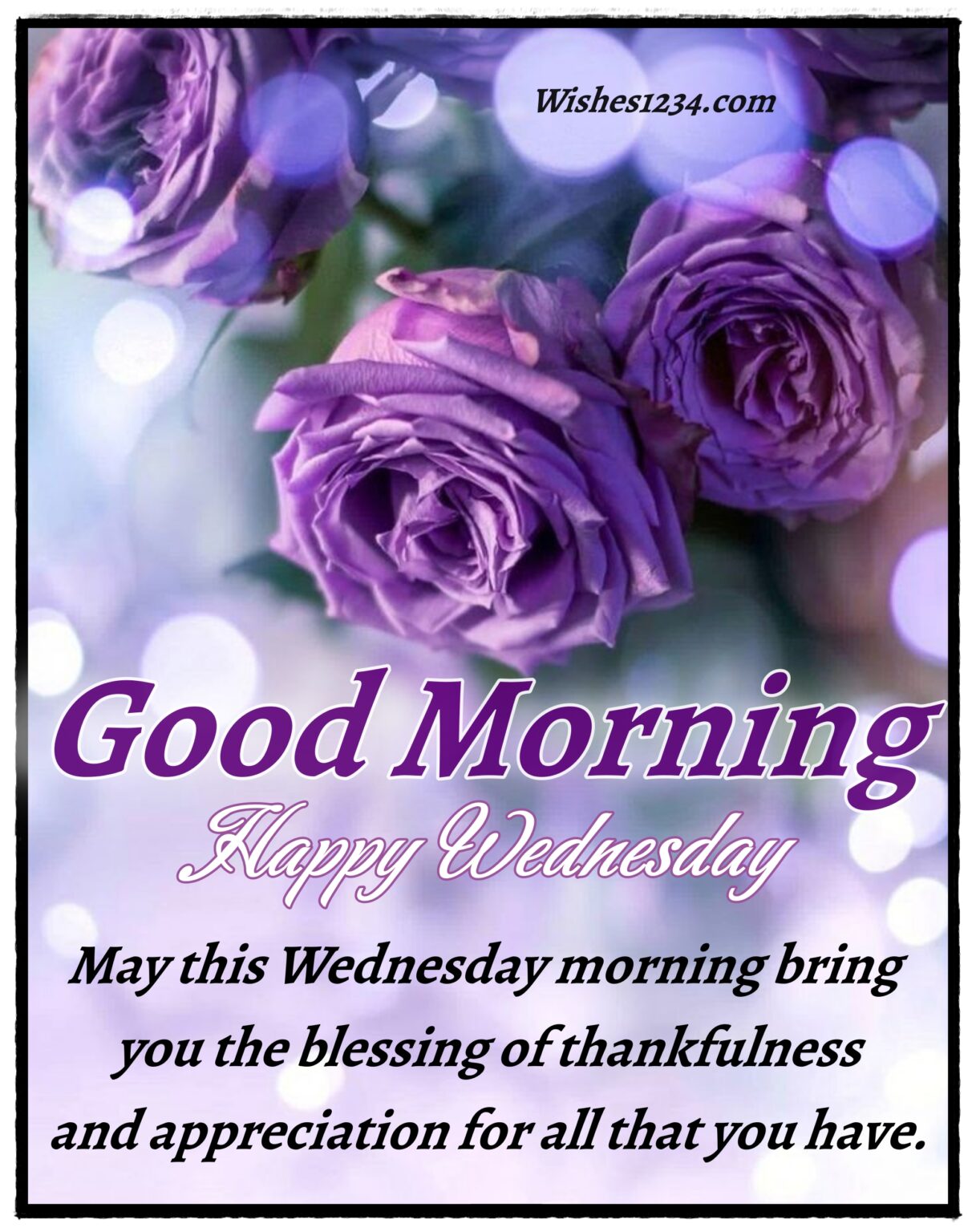 100+ Wednesday quotes, wishes, blessings, messages and happy hump day