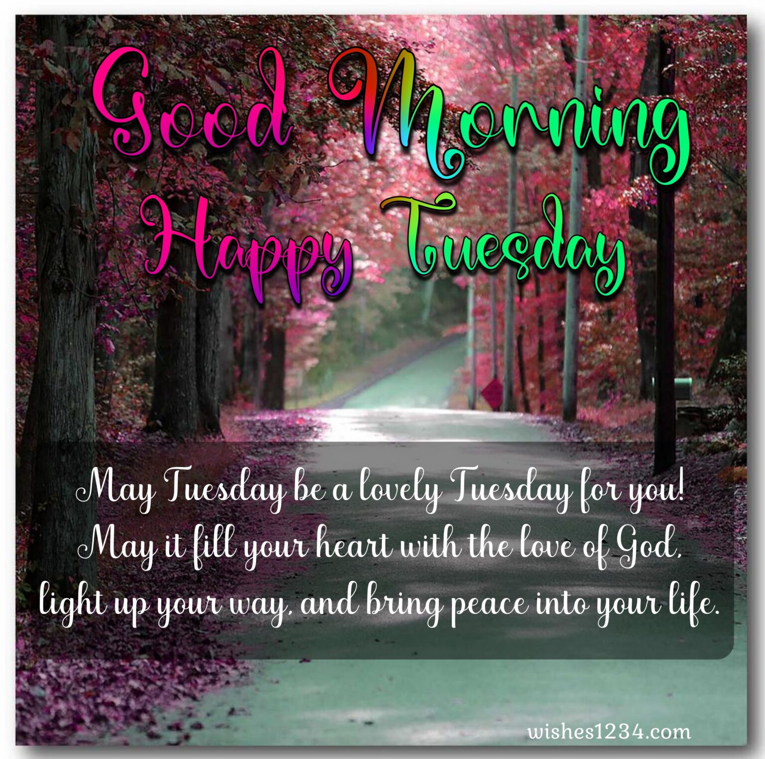 150+ Tuesday Quotes, Blessings and Images To Unlock Your Motivation