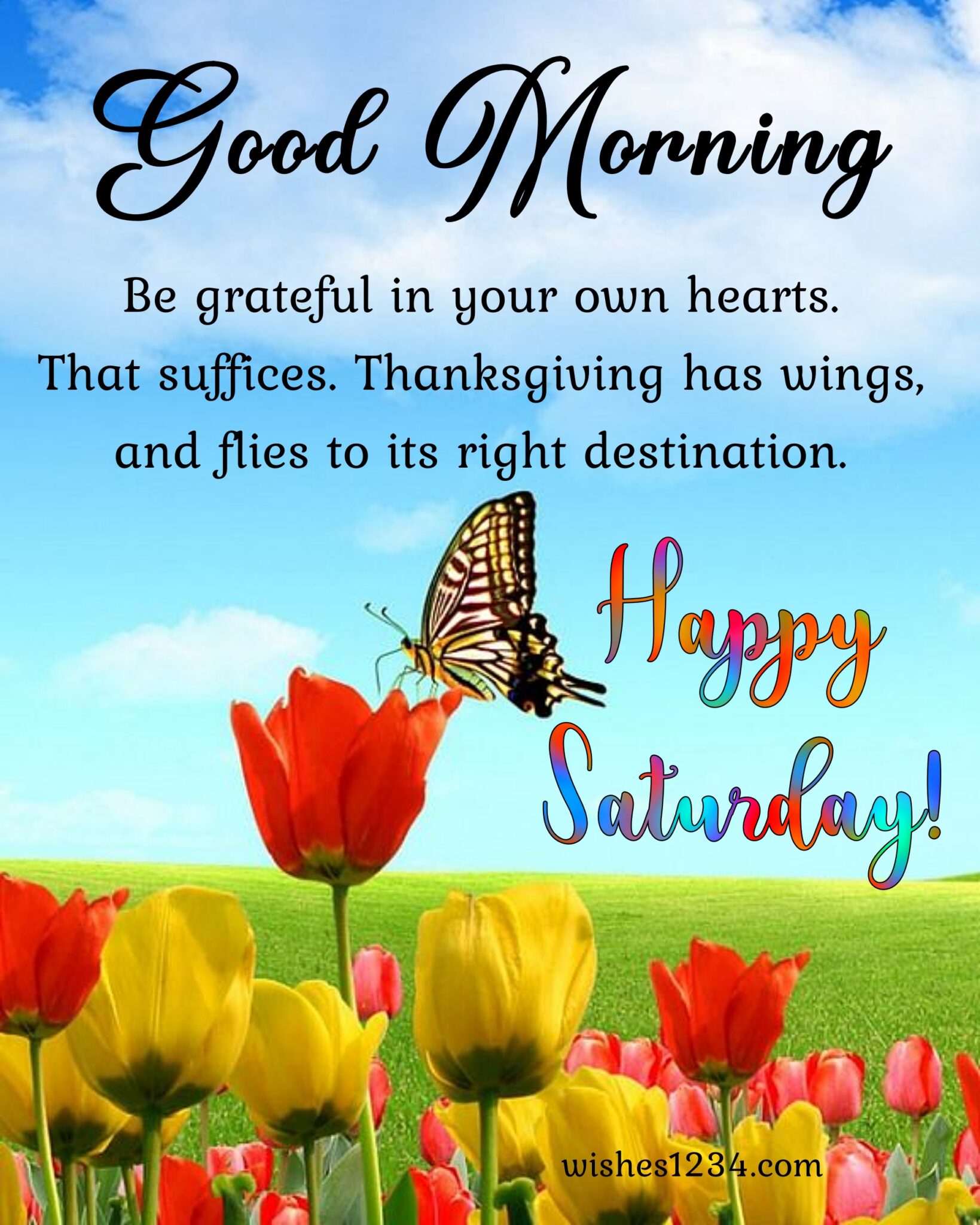 100+ Saturday quotes, images & Saturday blessings