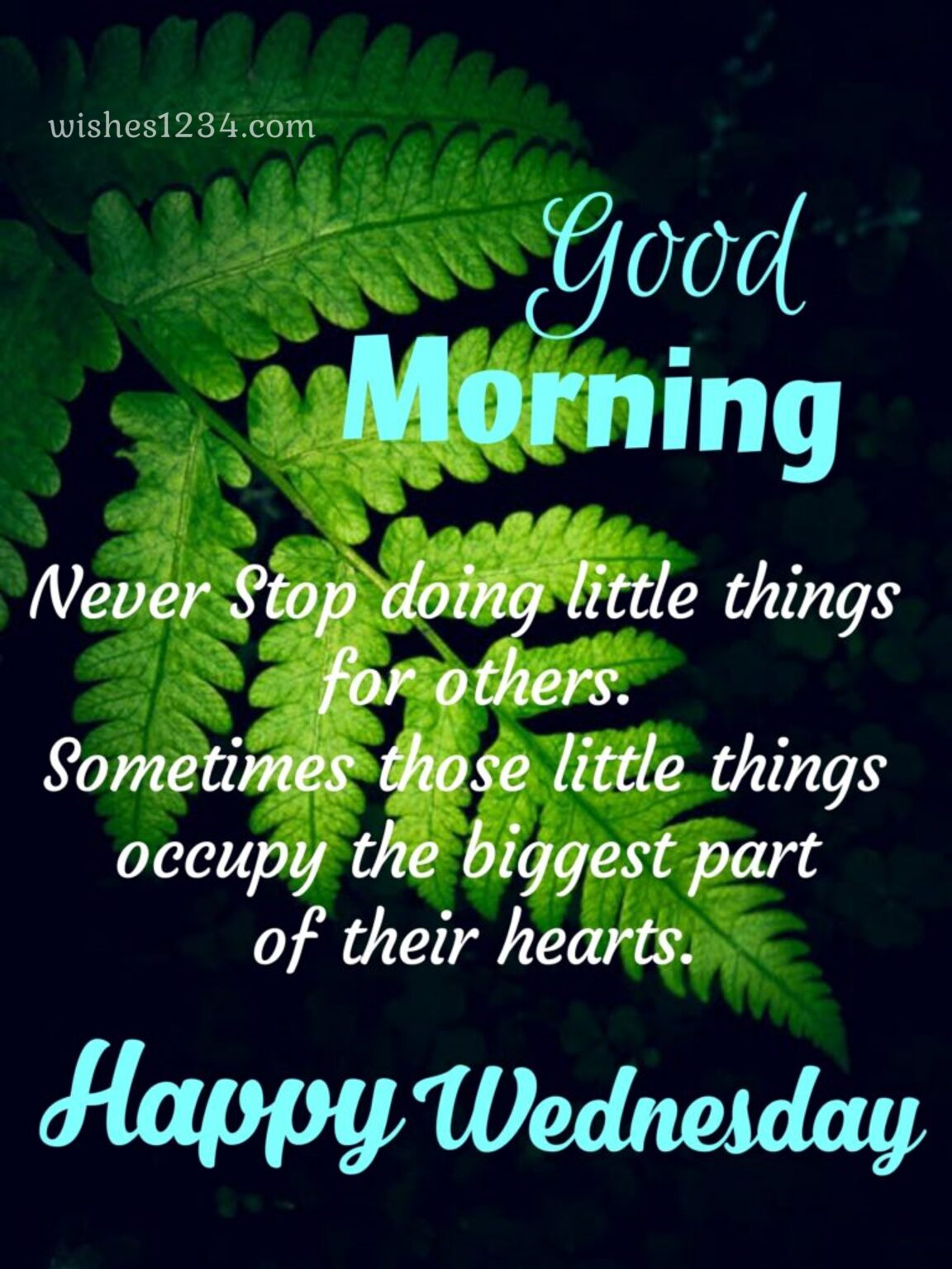 100+ Happy Wednesday quotes, wishes and messages