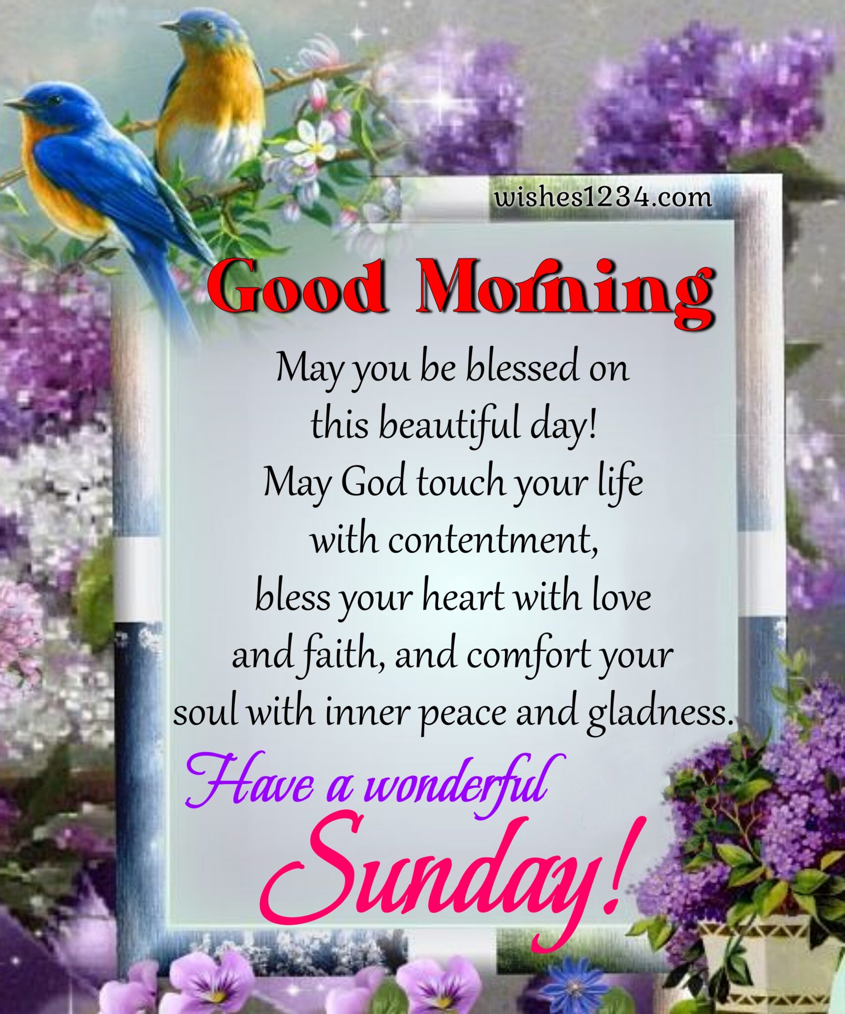 100+ Happy Sunday Blessings quotes and images