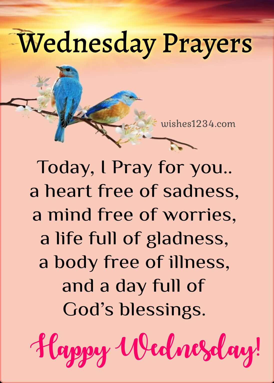 100+ Happy Wednesday quotes, wishes and messages