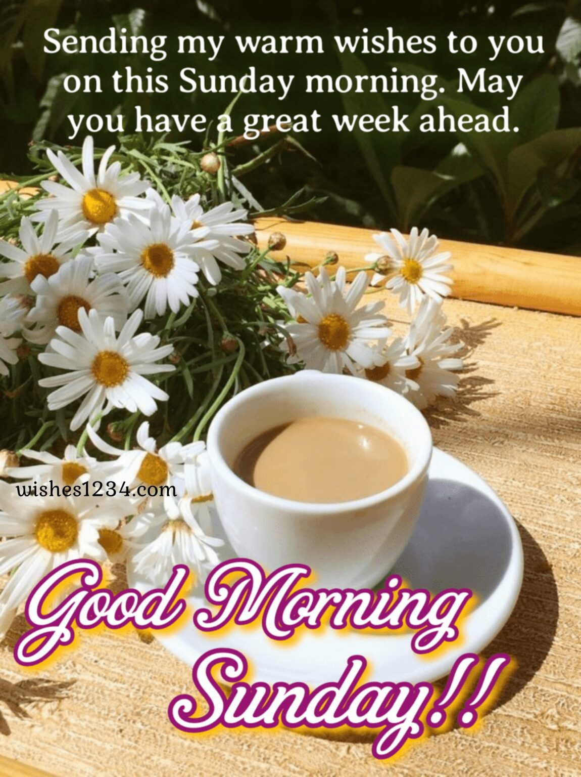 100+ Happy Sunday Blessings quotes and images