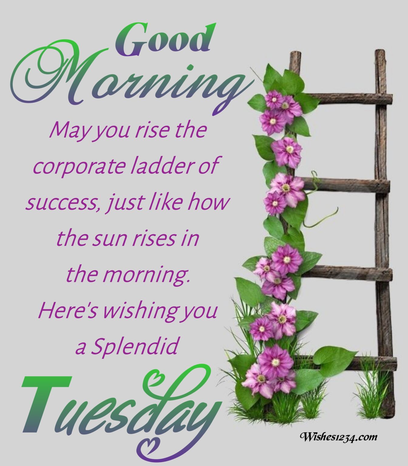 120 Tuesday Quotes and Blessings with images to stay Motivated