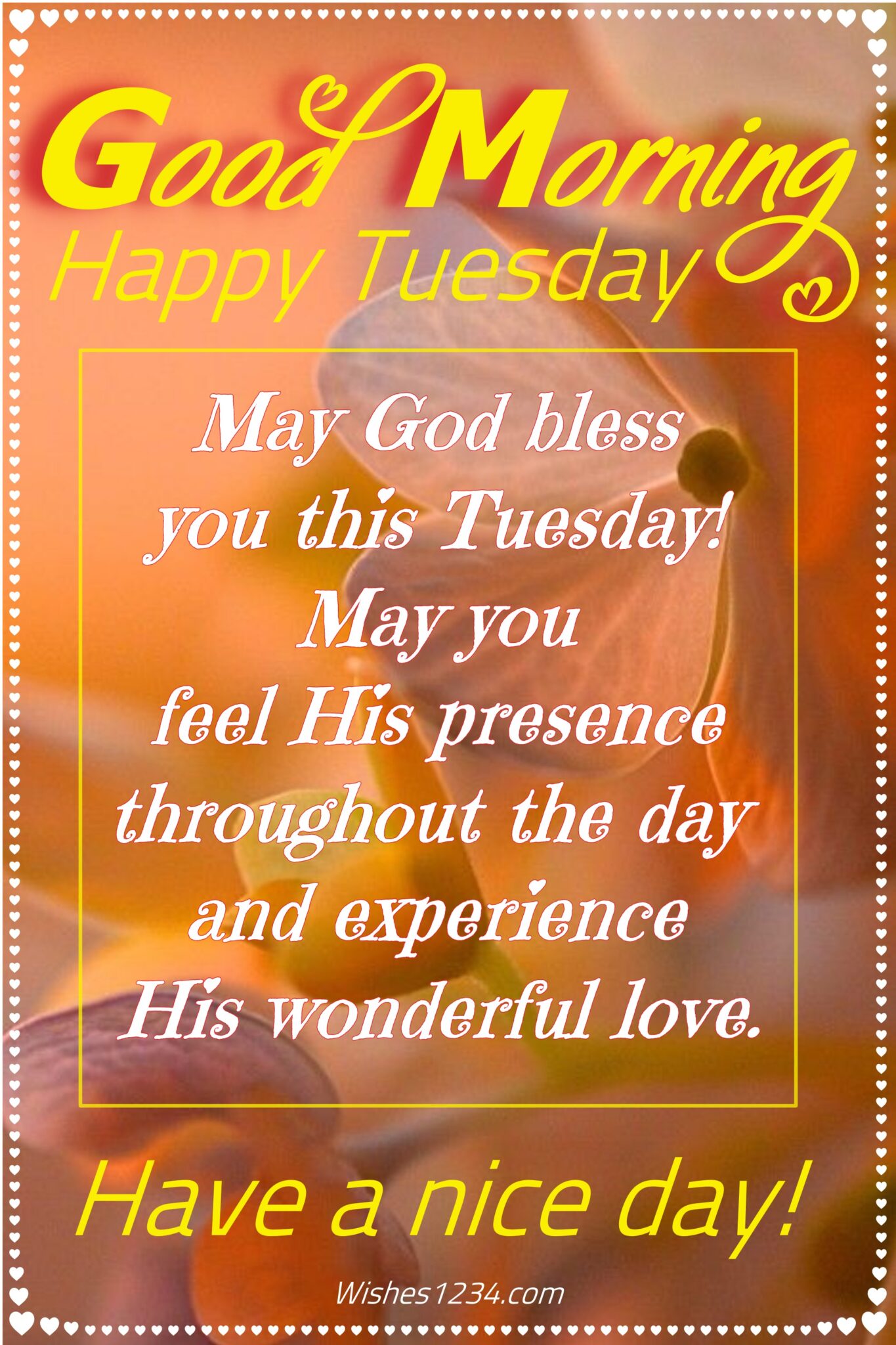 120 Tuesday Quotes and Blessings with images to stay Motivated