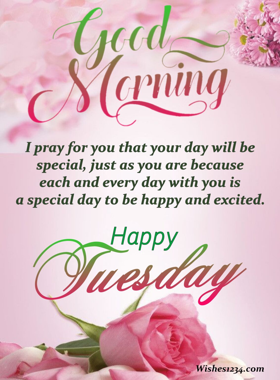 120 Tuesday Quotes and Blessings with images to stay Motivated