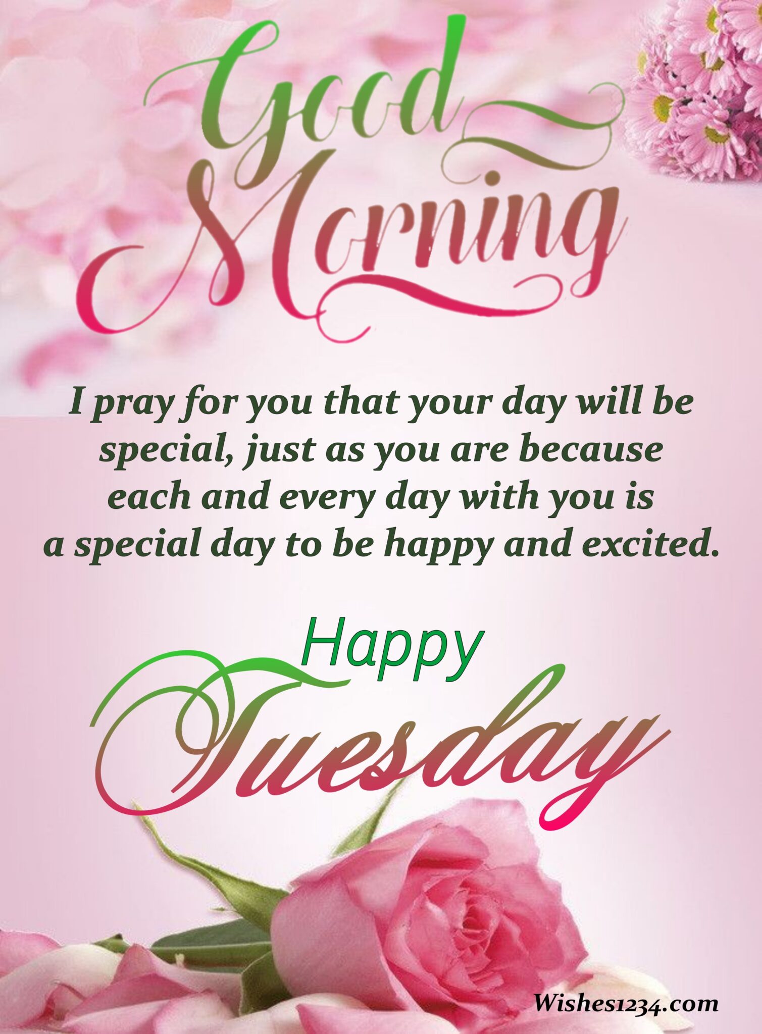 120 Tuesday Quotes and Blessings with images to stay Motivated