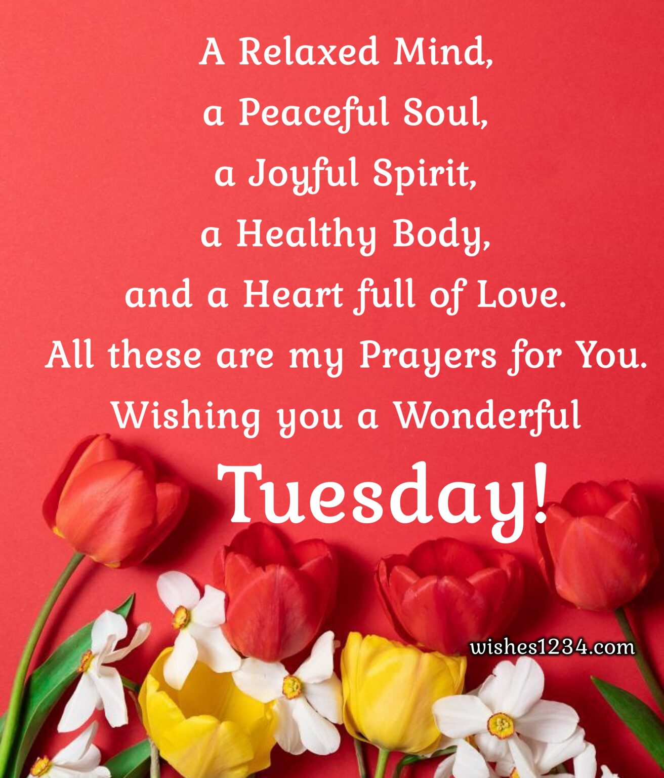 120 Tuesday Quotes and Blessings with images to stay Motivated
