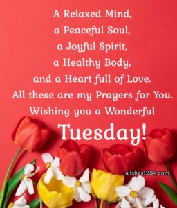 120 Tuesday Quotes and Blessings with images to stay Motivated