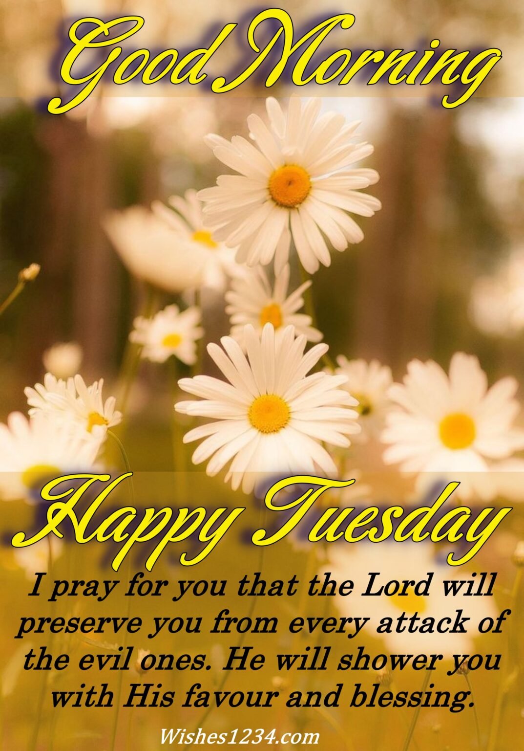 120 Tuesday Quotes and Blessings with images to stay Motivated