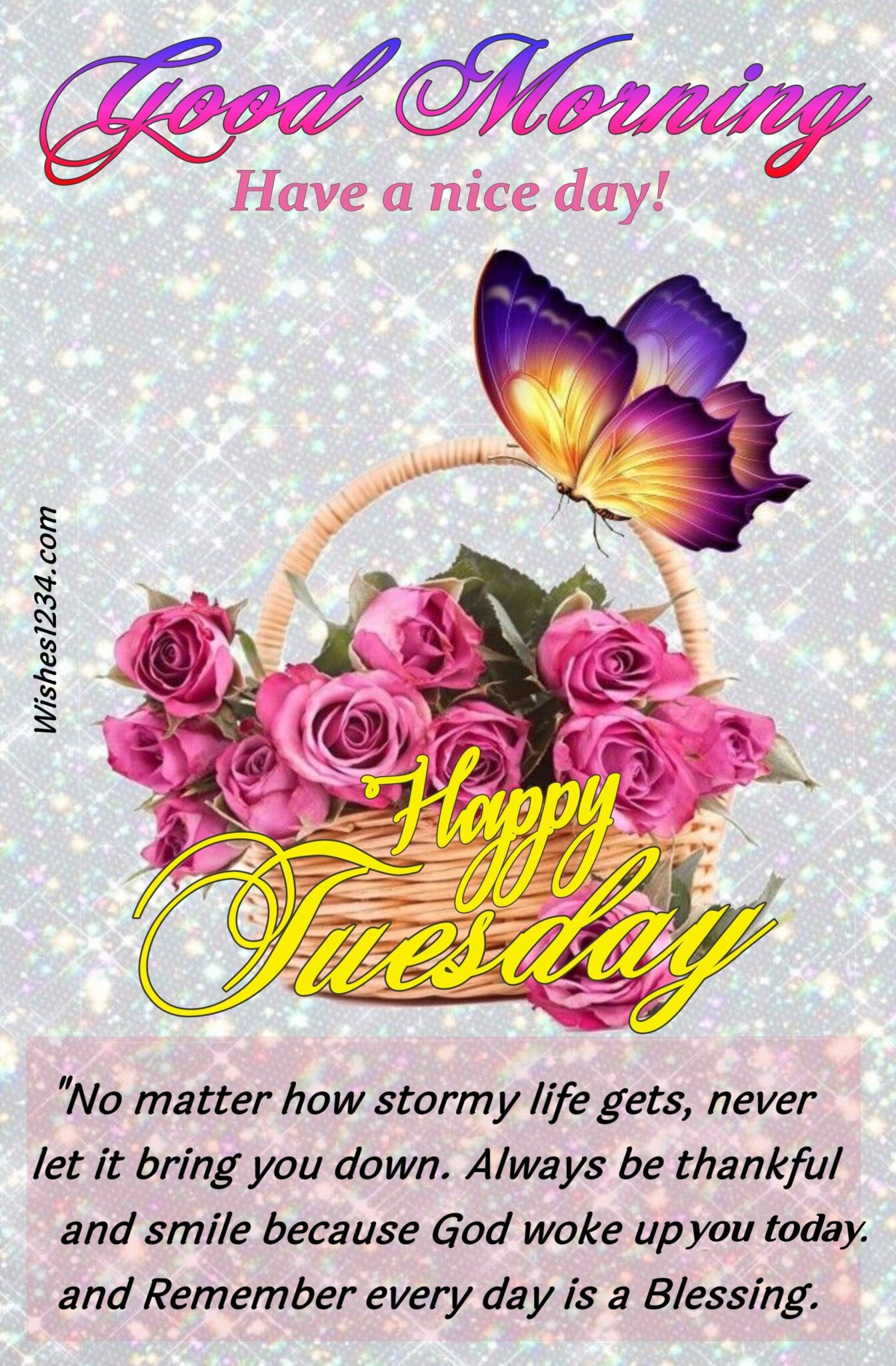120 Tuesday Quotes and Blessings with images to stay Motivated
