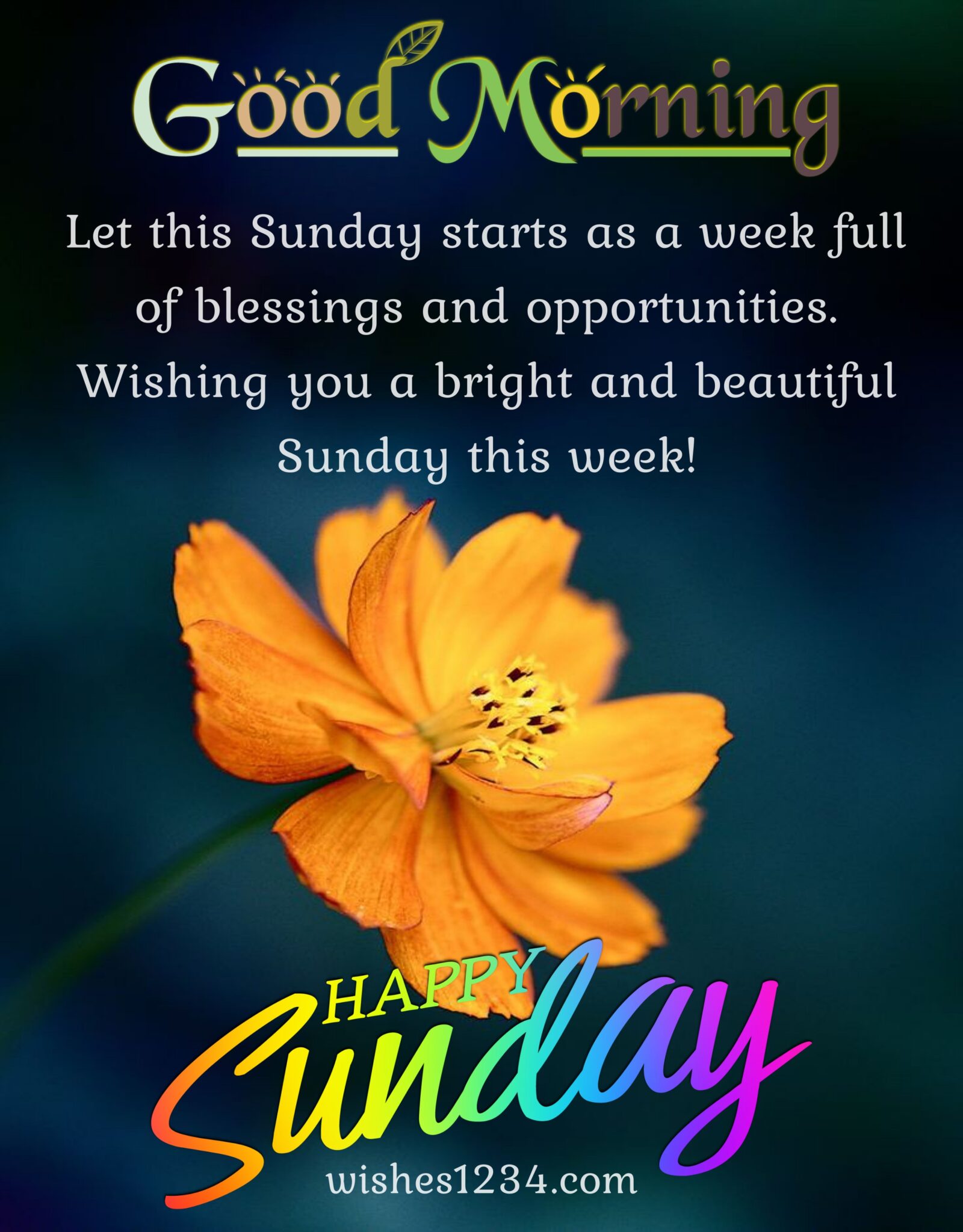 100+ Happy Sunday Wishes, Blessings and Quotes