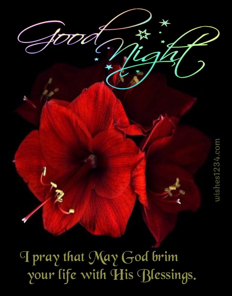 Good Night Wishes, Quotes, Messages, and Blessings