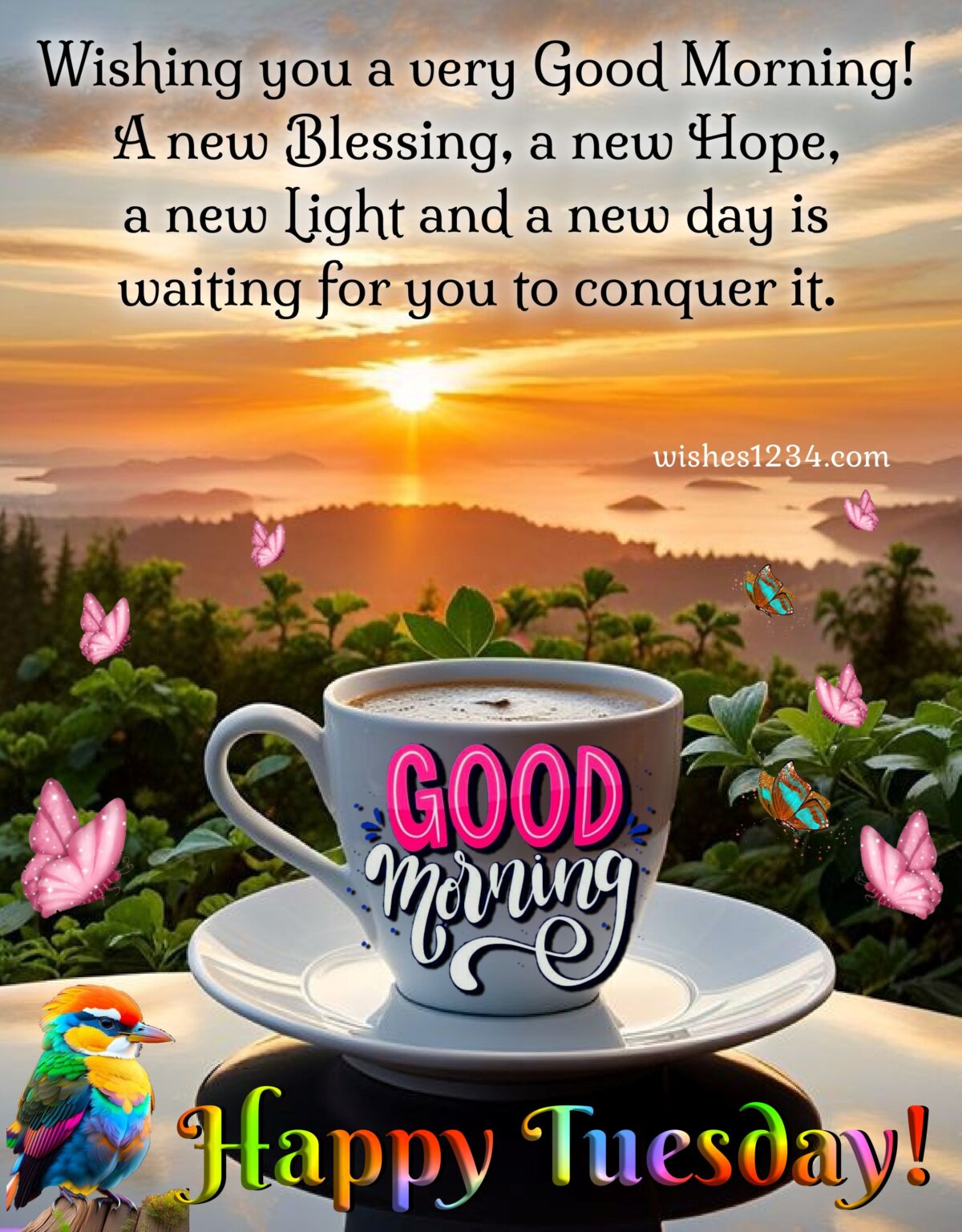 100+ Happy Tuesday Quotes and Blessings with beautiful Images