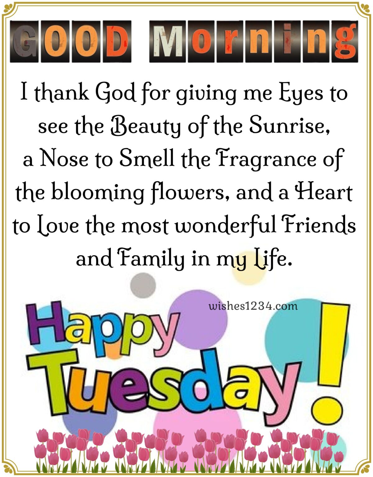 100+ Happy Tuesday Quotes and Blessings with beautiful Images