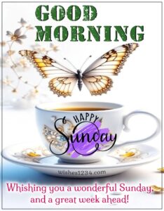 Happy Sunday Blessings, Quotes, Images and Prayers