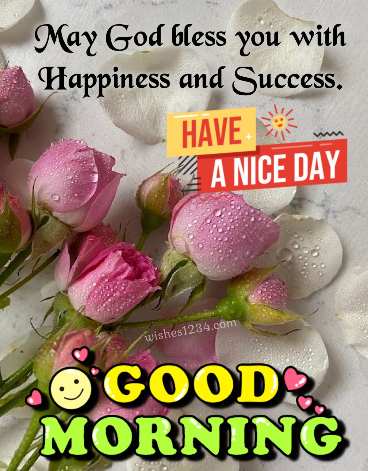 100+ Happy Tuesday Quotes and Blessings with beautiful Images