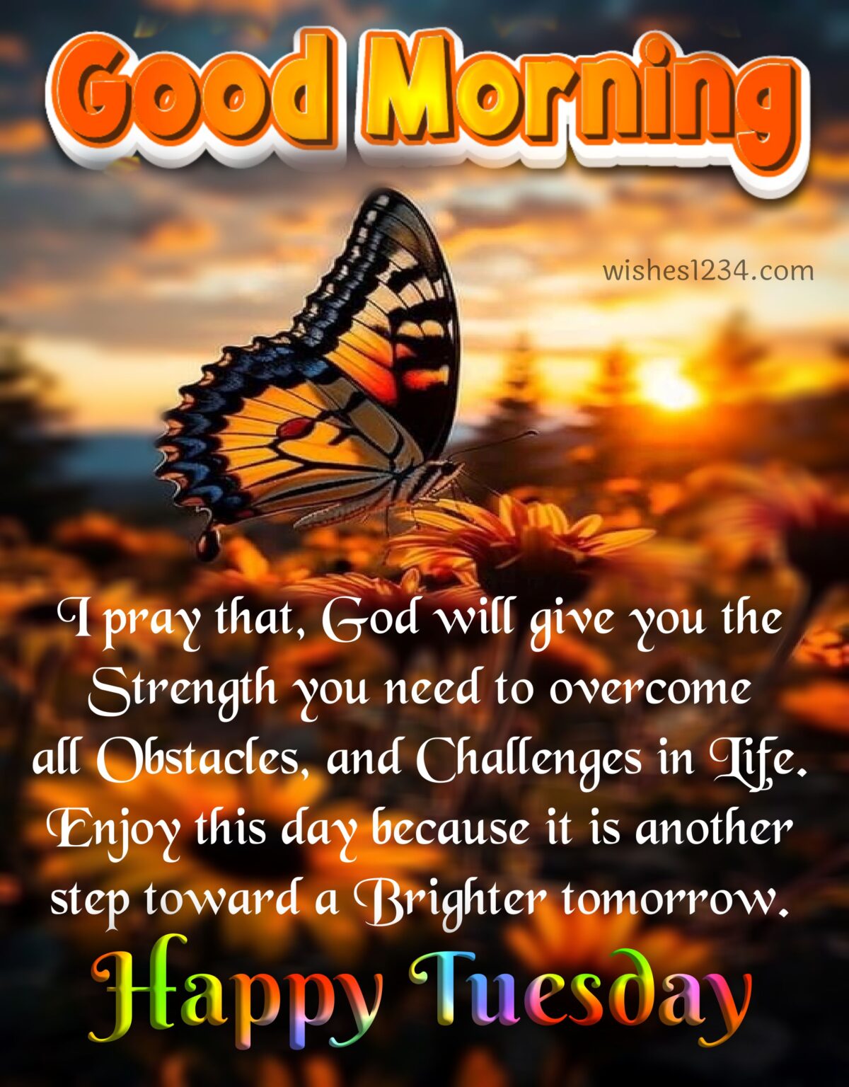 100+ Happy Tuesday Quotes and Blessings with beautiful Images