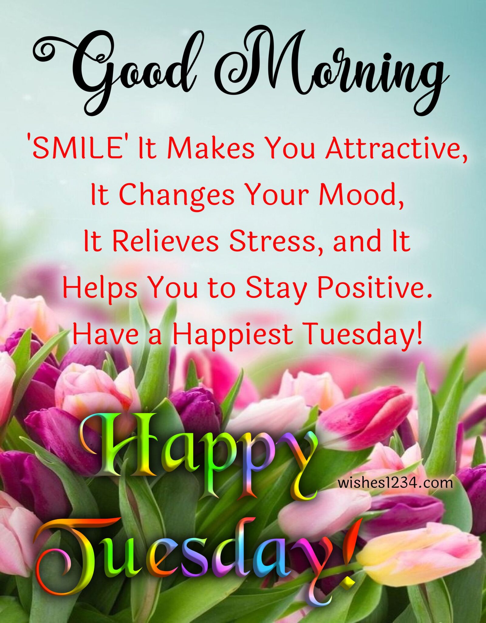 100+ Happy Tuesday Quotes and Blessings with beautiful Images