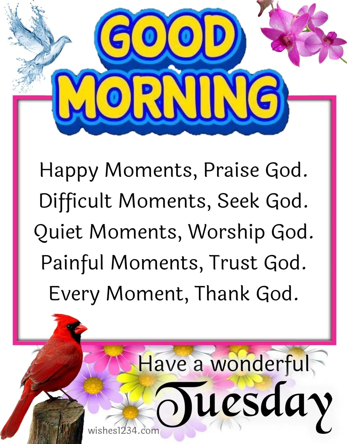 100+ Happy Tuesday Quotes and Blessings with beautiful Images