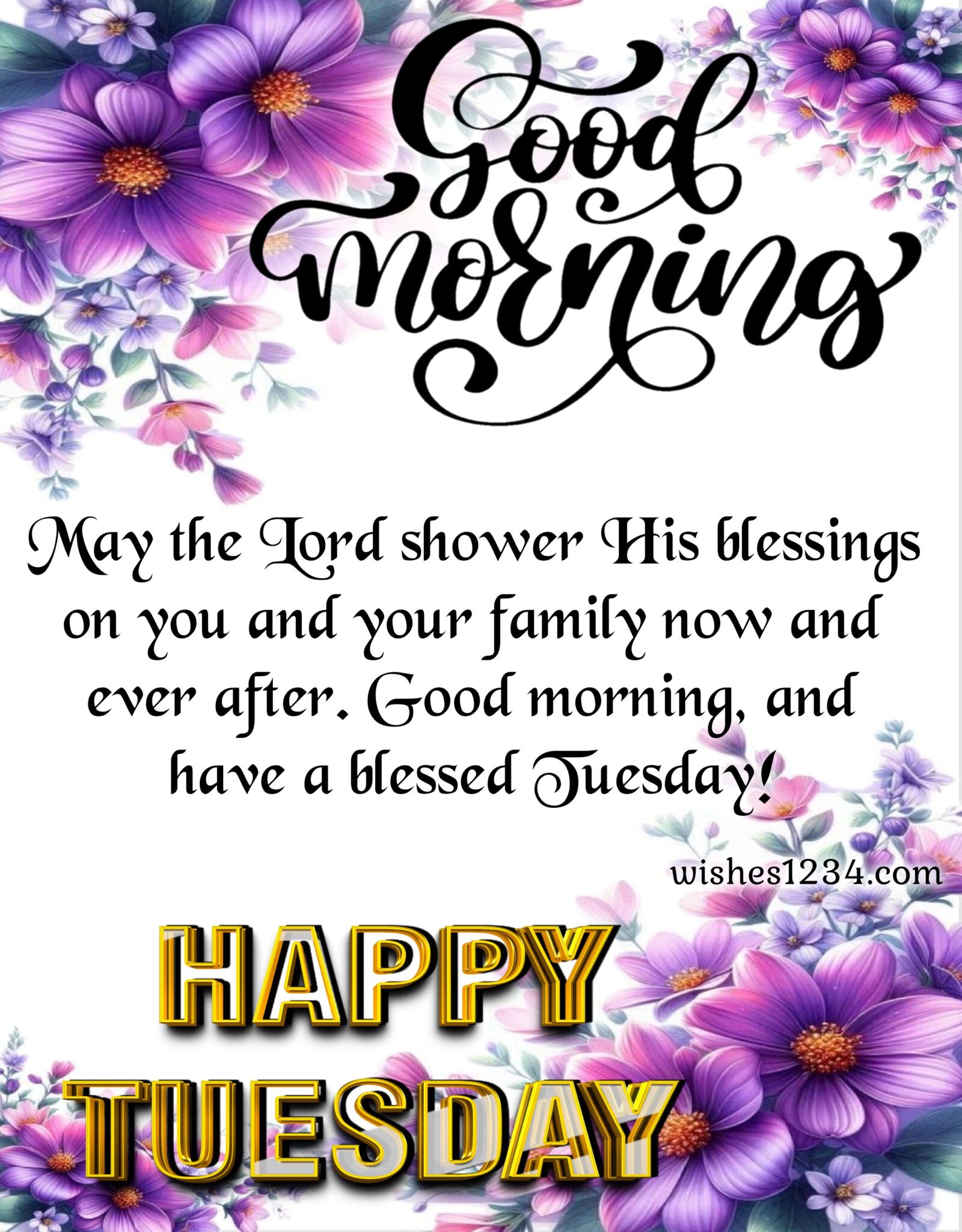 Happy Tuesday Images: 50+ Wishes, Quotes, Greetings, and Messages with ...