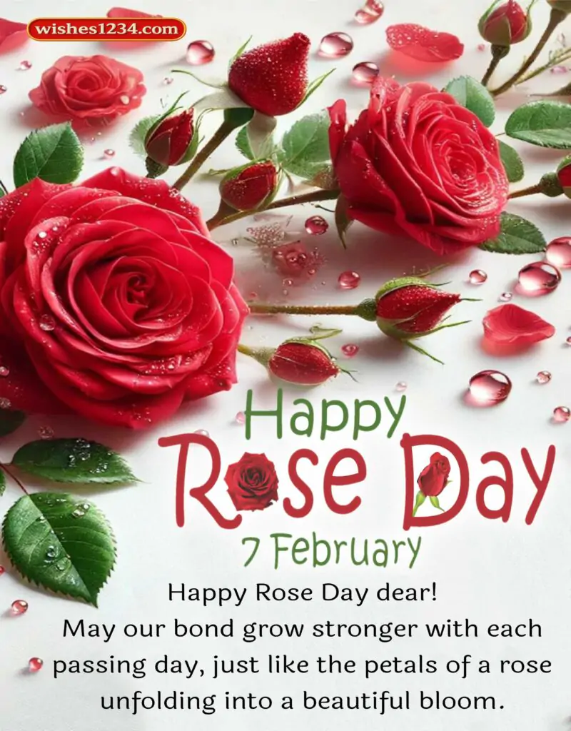 Happy Rose Day wishes to my Love Archives - wishes1234